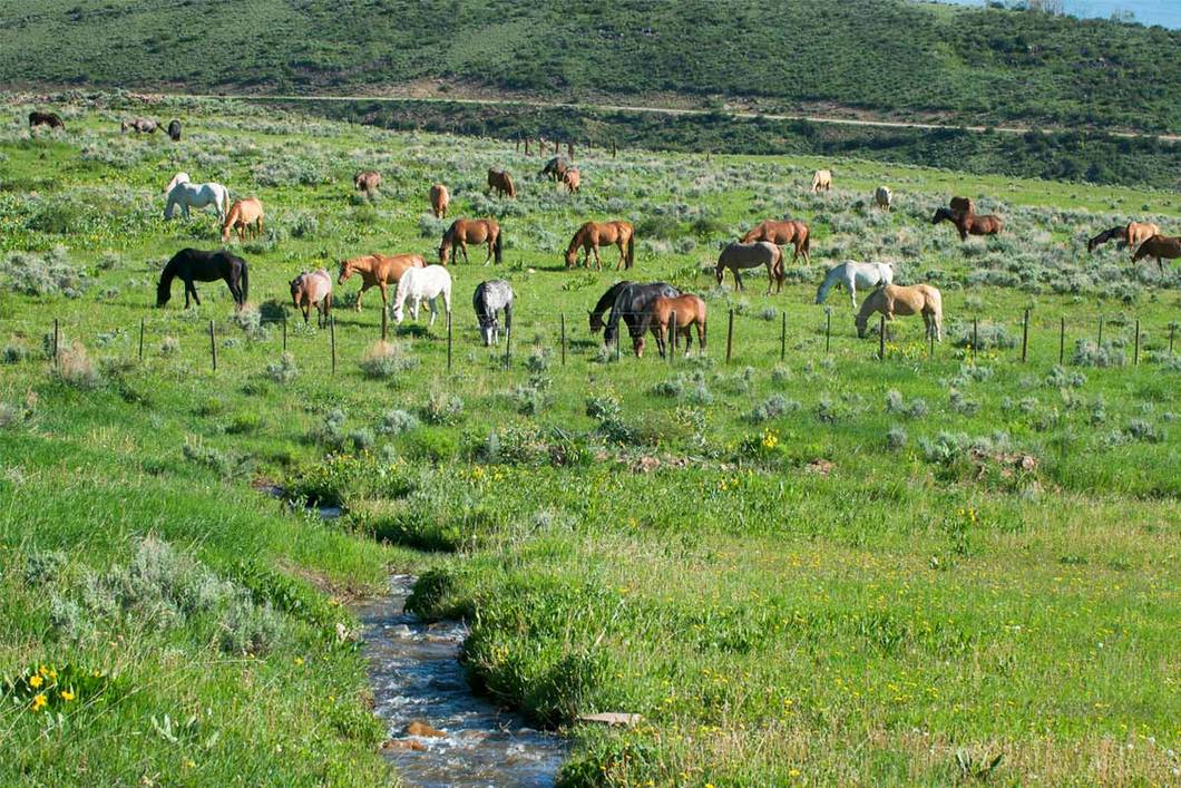 Shadow Creek Ranch - Lot 12 - Colorado Ranch Company