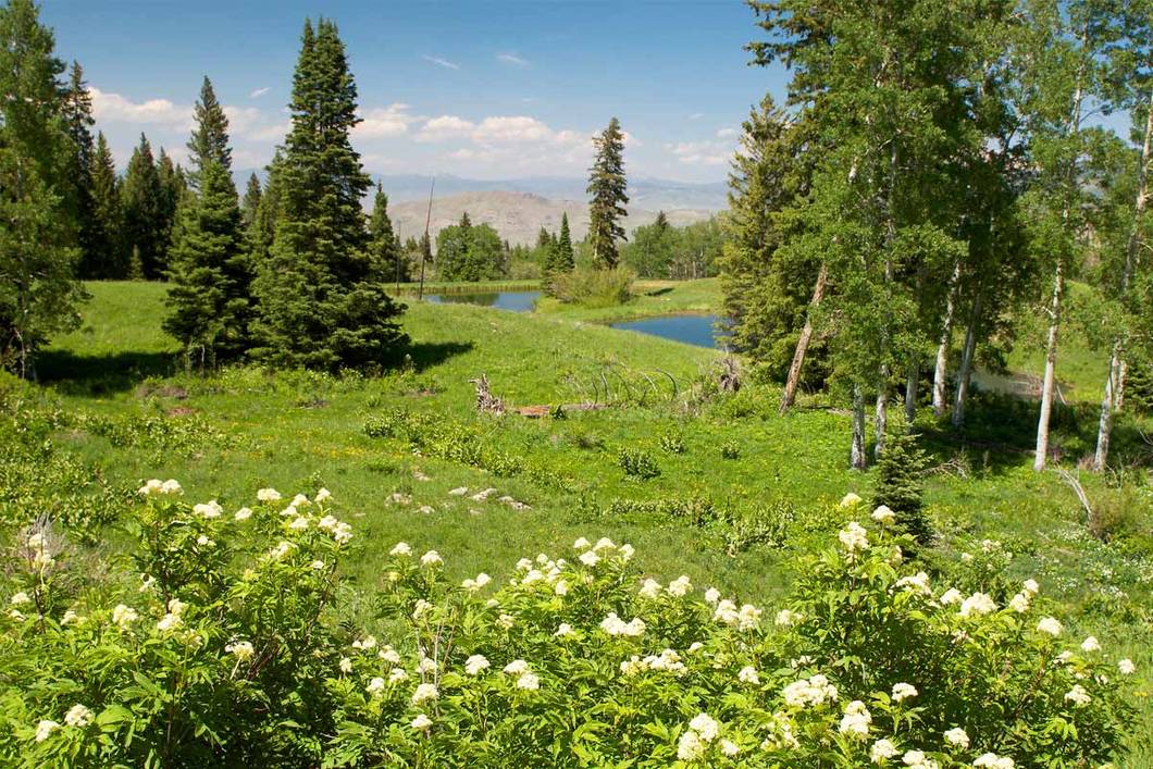 Shadow Creek Ranch – Lot 17 - Colorado Ranch Company