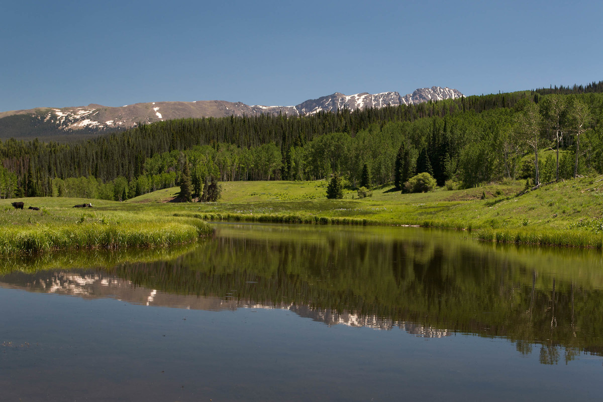 3 Bears Ranch - Colorado Ranch Company